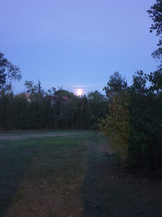 Lever de lune – Isabelle-Marie d'Angèle